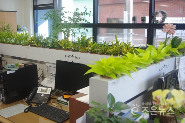 창&작은세상, 가습기 대신 사무실 일체형 파티션 화분 인기