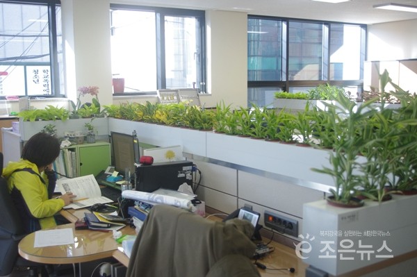 창&작은세상, 가습기 대신 사무실 일체형 파티션 화분 인기